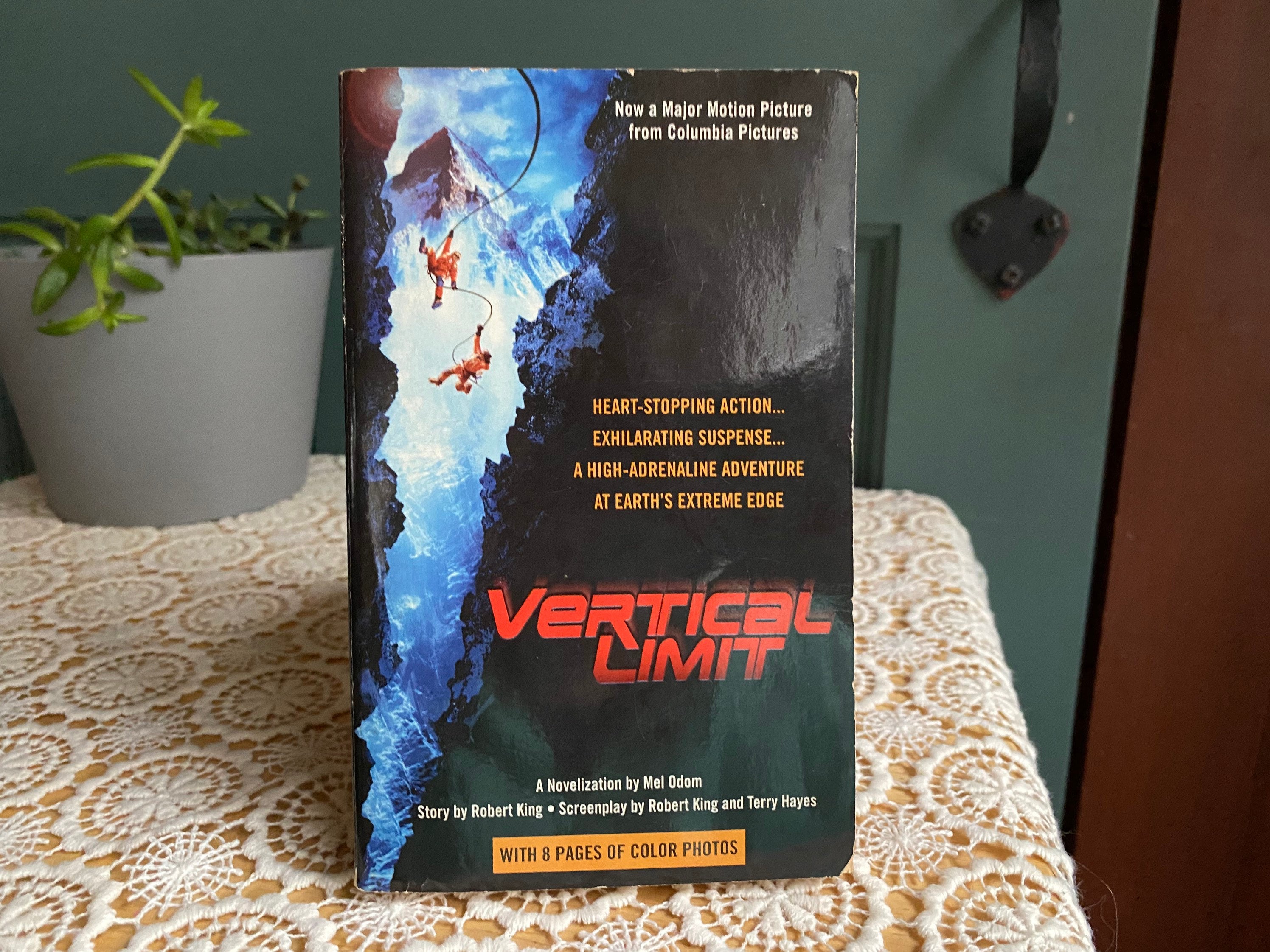 Vertical Limit Poster