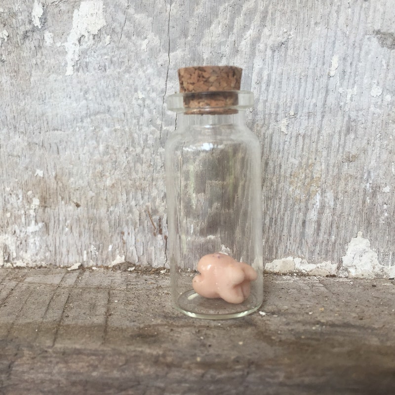 Human Oddities - Etsy