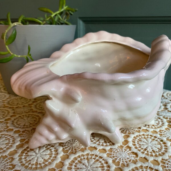 Conch Shell Planter - Etsy