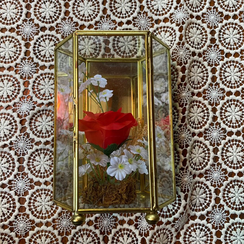 Goth Glass Display - Etsy
