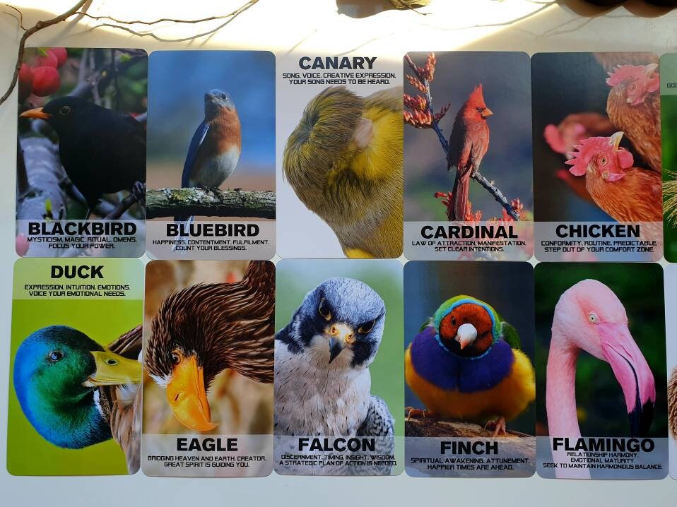 Bird Spirit Oracle Cards - Etsy