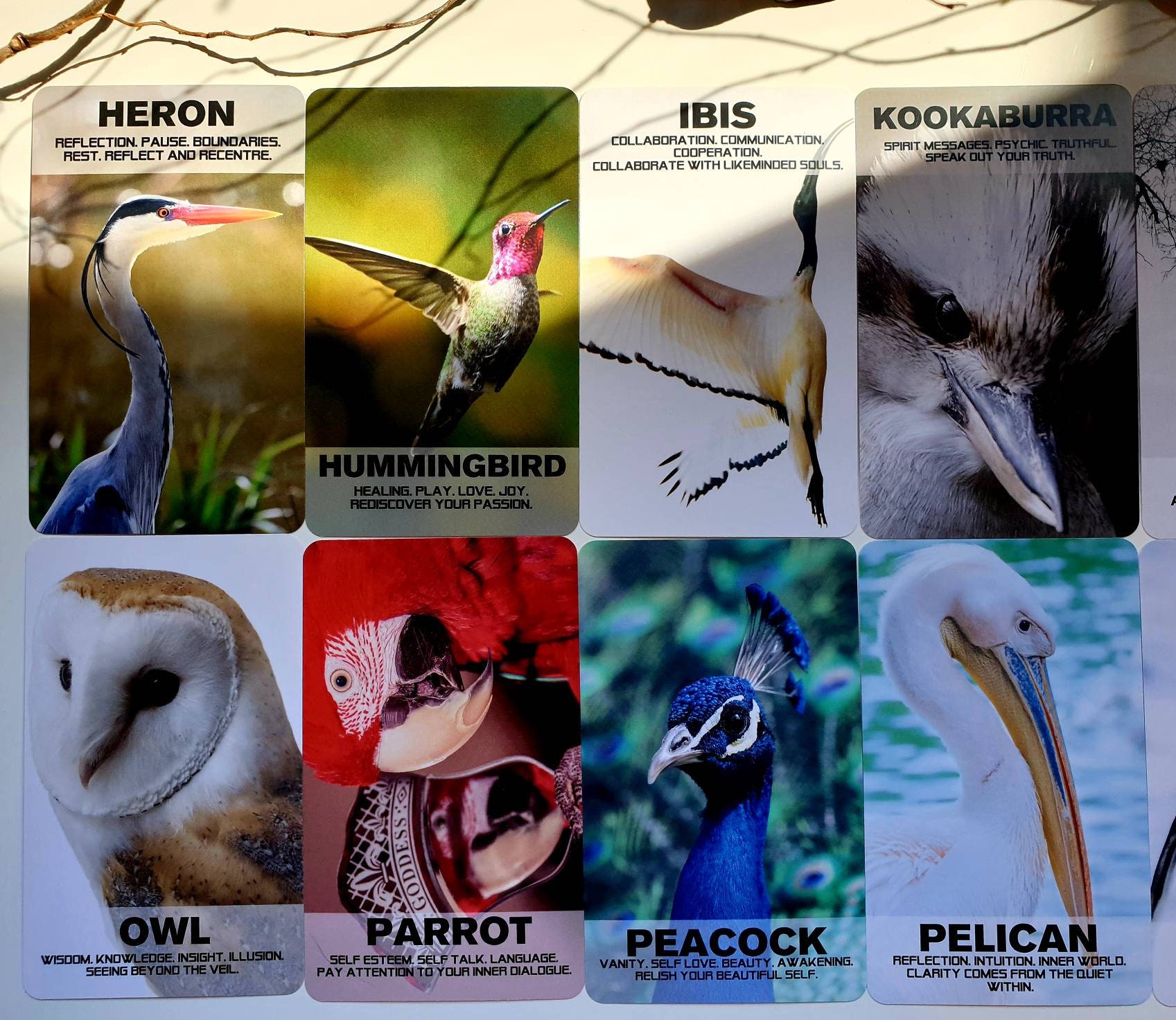 Bird Spirit Oracle Cards - Etsy