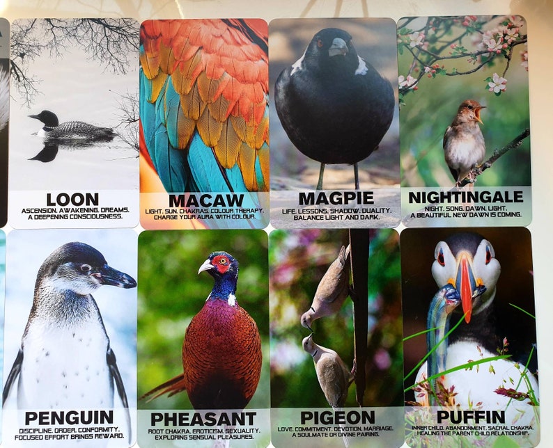 Bird Spirit Oracle Cards - Etsy