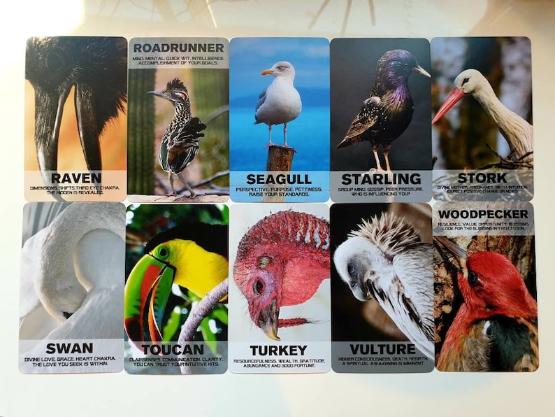 Bird Spirit Oracle Cards - Etsy