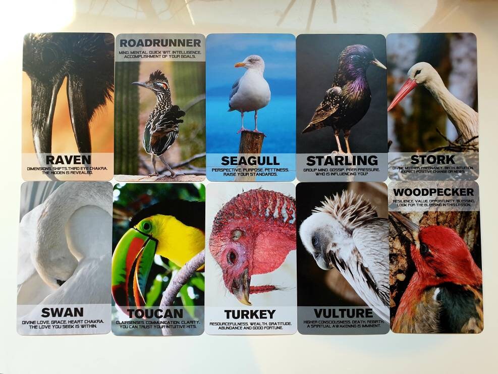 Bird Spirit Oracle Cards - Etsy