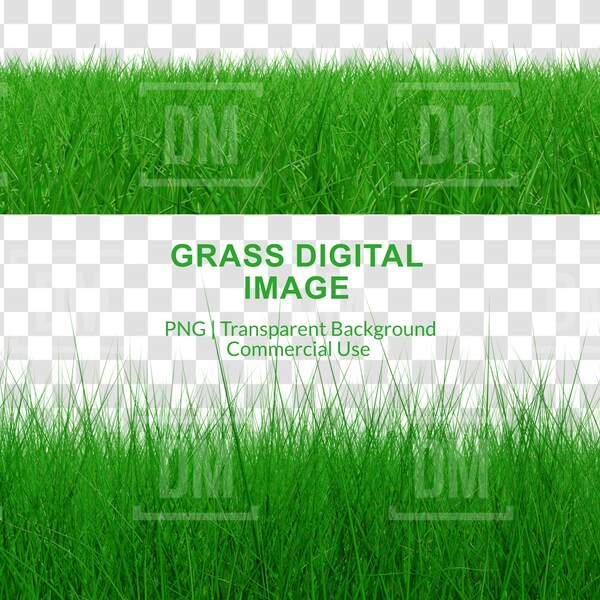 Grass - Etsy