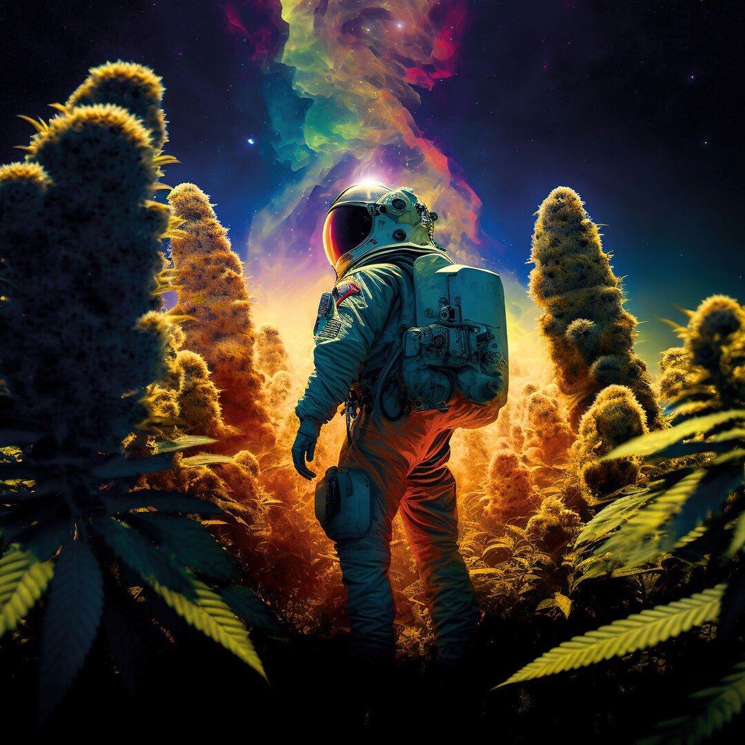 Trippy Tapestry Marijuana Astronaut V12 Colorful UV Backdrop XL Dark Tapestry Psychedelic Uv ...