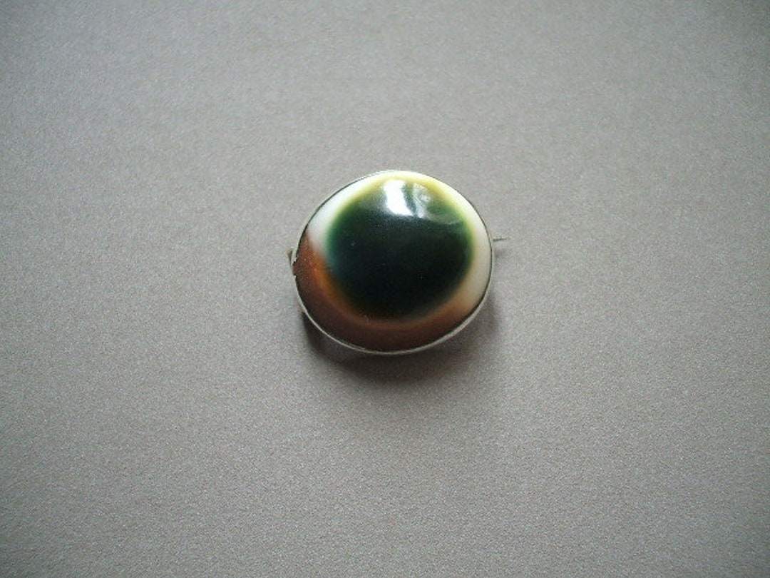Quirky Jewelery - Victorian Silver Operculum 'eye' Brooch - Etsy