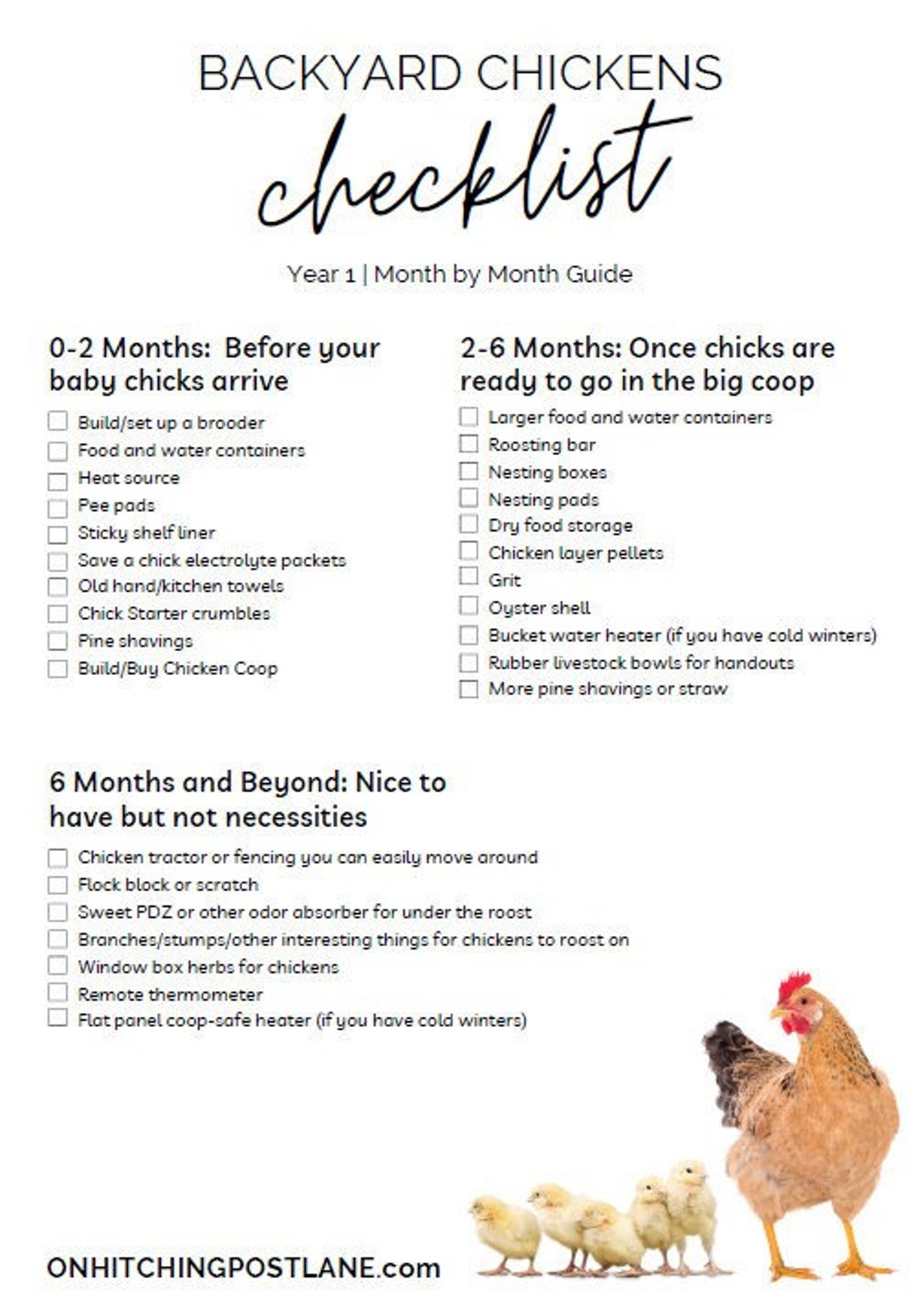 Backyard Chicken Supply Checklist, Breed Selection, Egg Production ...