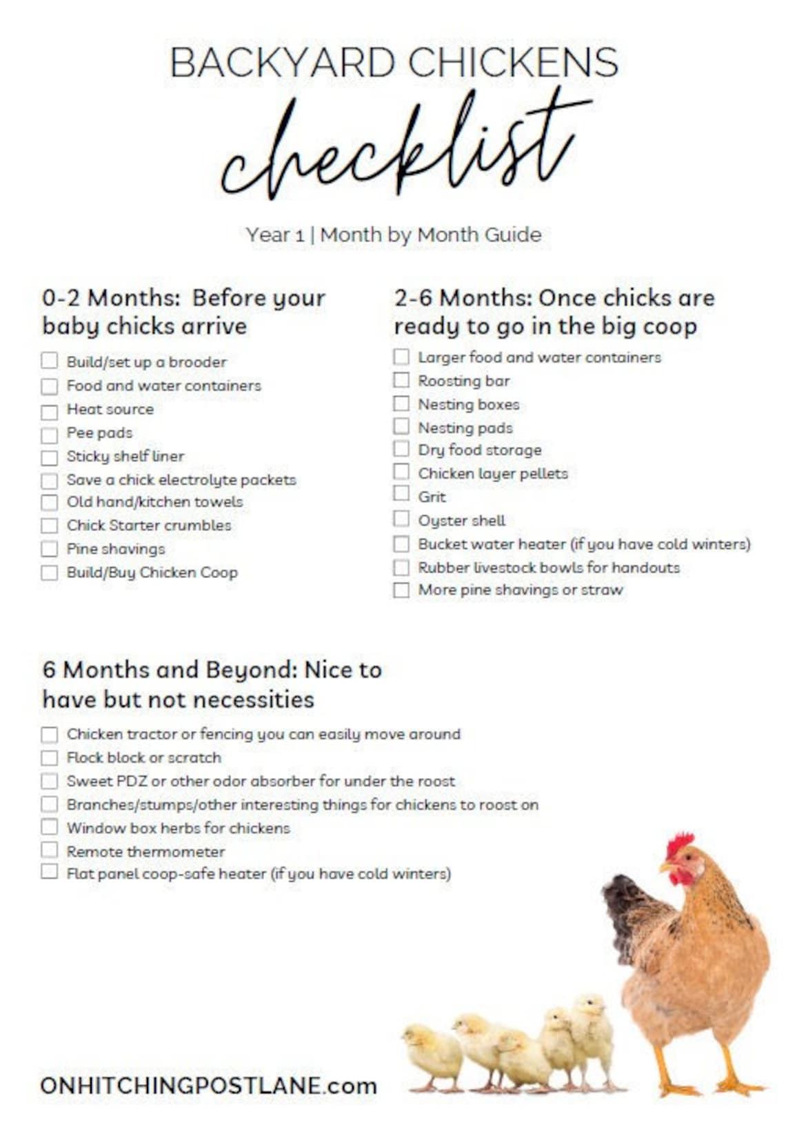 Backyard Chicken Supply Checklist, Breed Selection, Egg Production ...