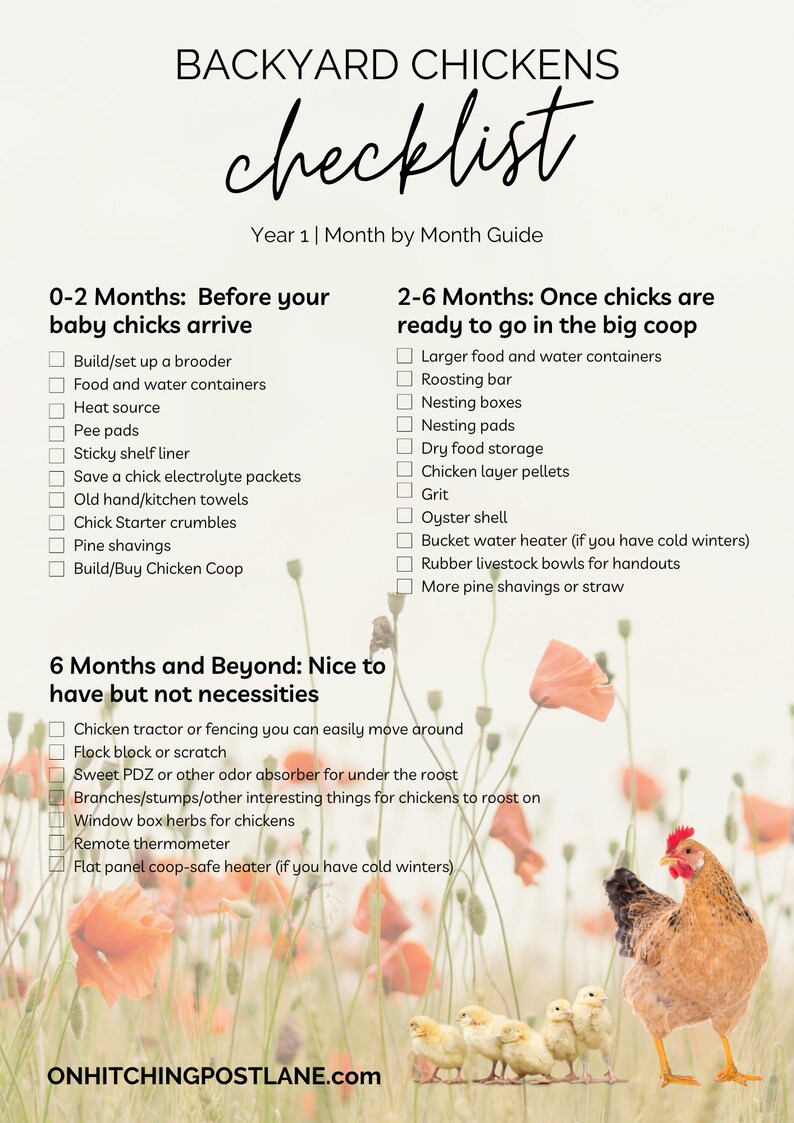 Backyard Chicken Supply Checklist, Breed Selection, Egg Production ...