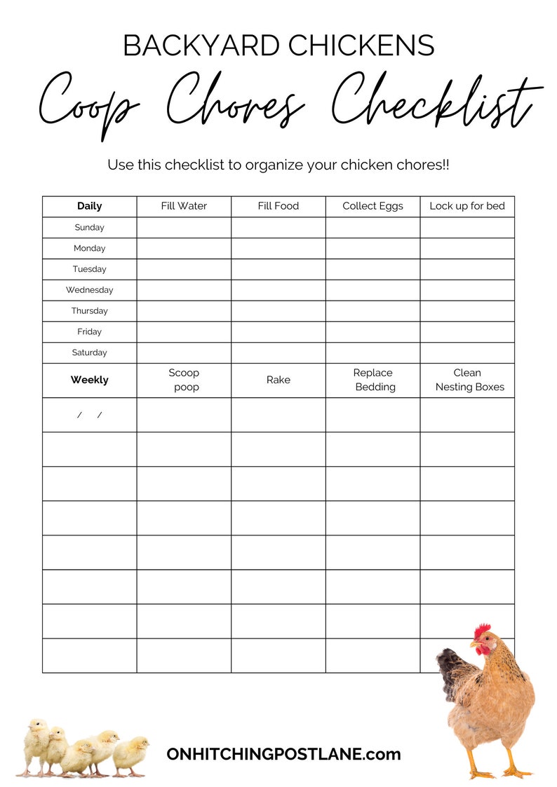 Backyard Chicken Supply Checklist, Breed Selection, Egg Production ...