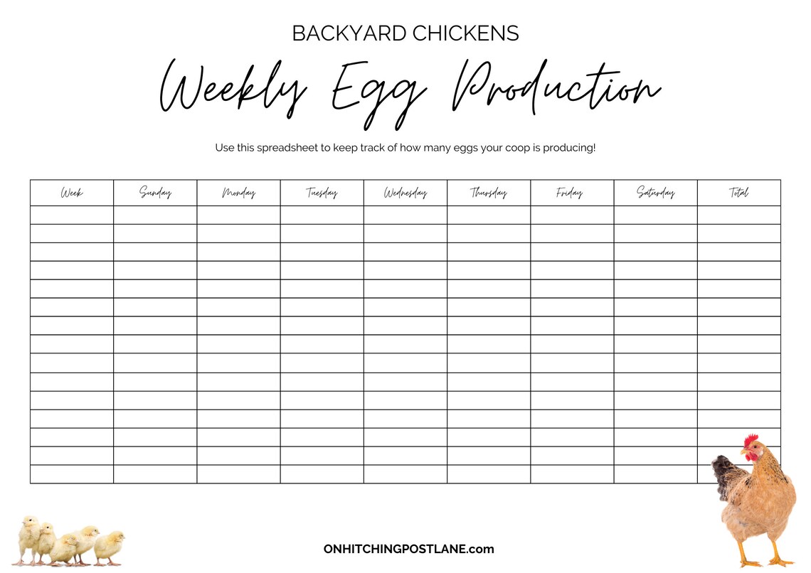 Backyard Chicken Supply Checklist, Breed Selection, Egg Production ...