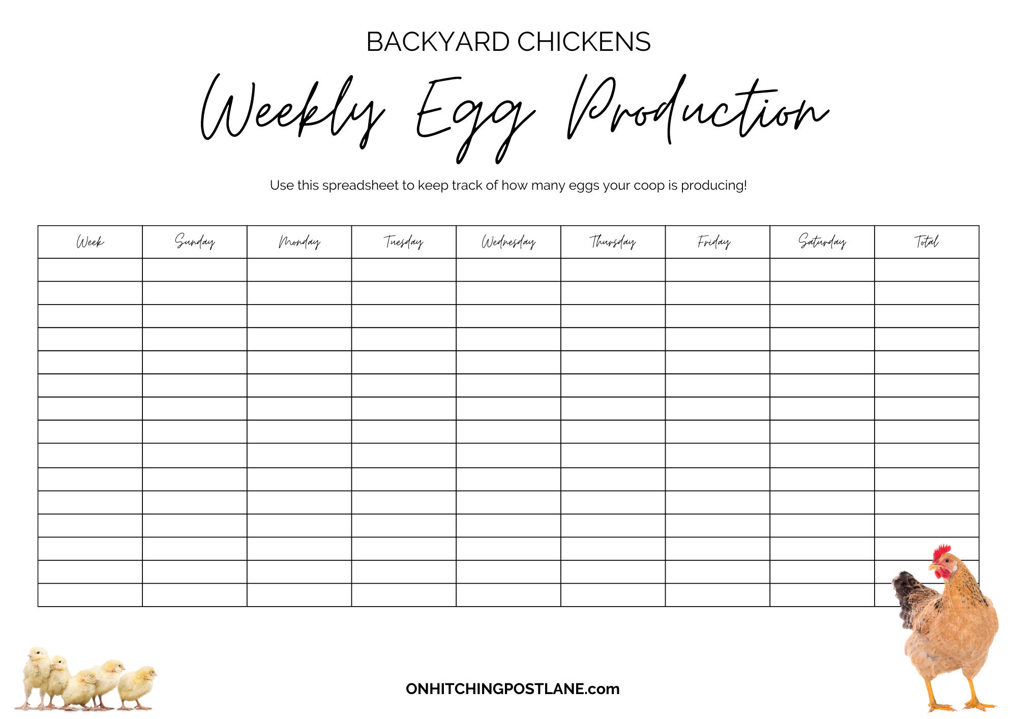 Backyard Chicken Supply Checklist, Breed Selection, Egg Production ...