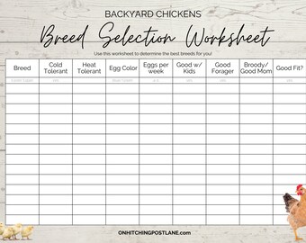 Backyard Chicken Supply Checklist, Breed Selection, Egg Production ...