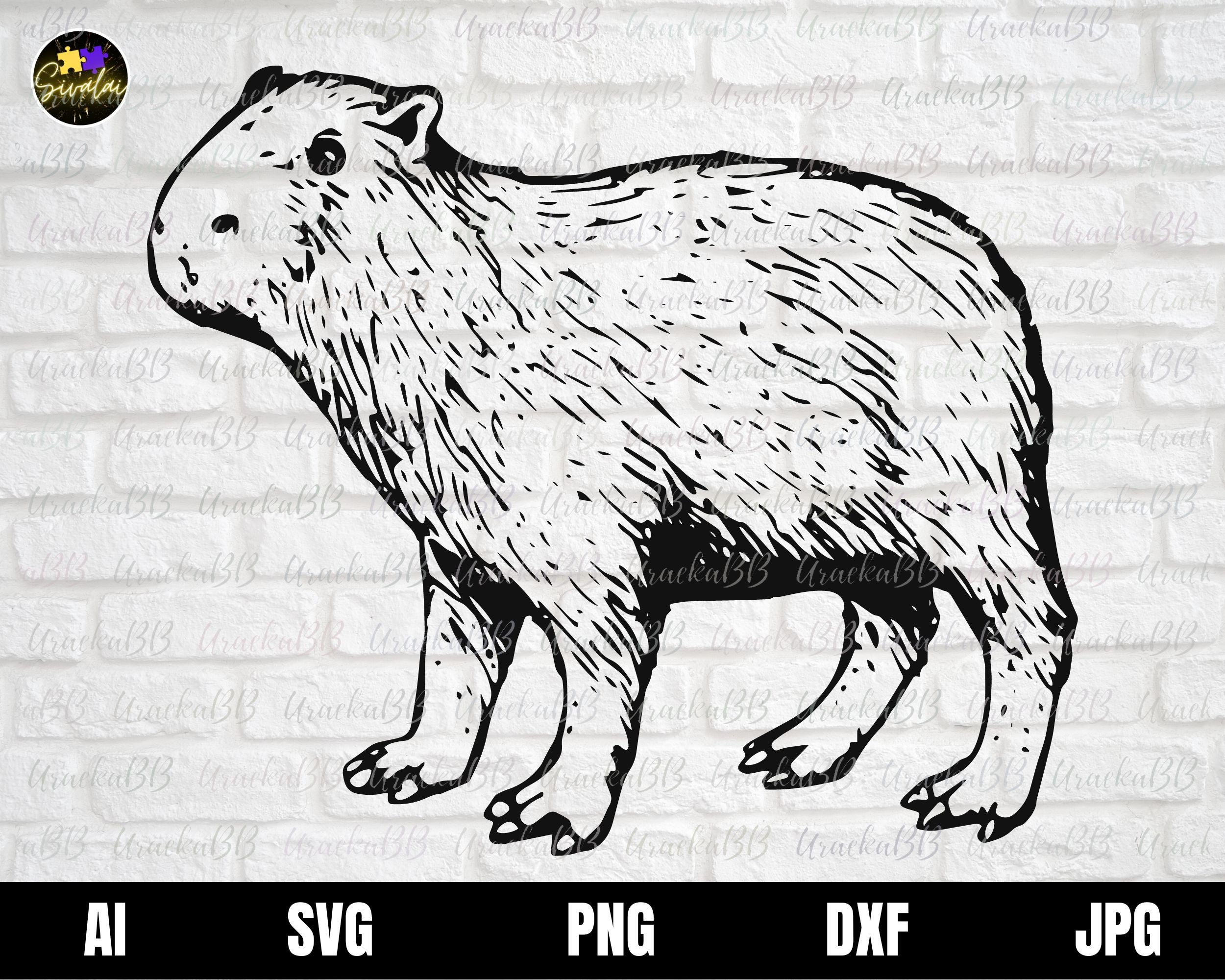 Capybara Svg Cute Capybara Svg Capybara Png Head Capybara - Etsy Hong Kong