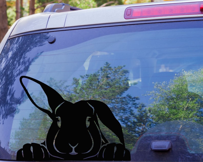 Peeking Rabbit Svg Rabbit Svg Bunny Svg Rabbit Funny Svg - Etsy UK