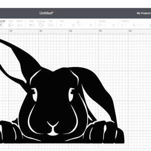 Peeking Rabbit Svg, Rabbit Svg, Bunny Svg, Rabbit Funny Svg, Car Rabbit ...