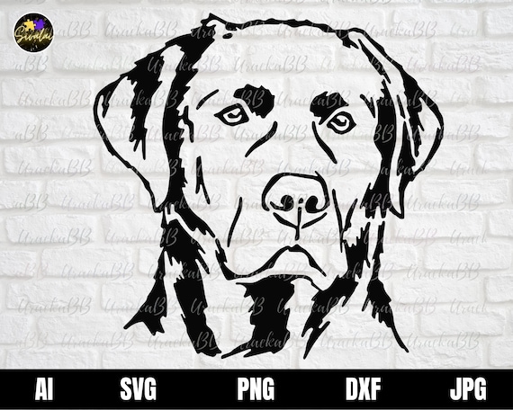 Labrador Retriever Svg Golden Retriever Dog Svg Labrador - Etsy
