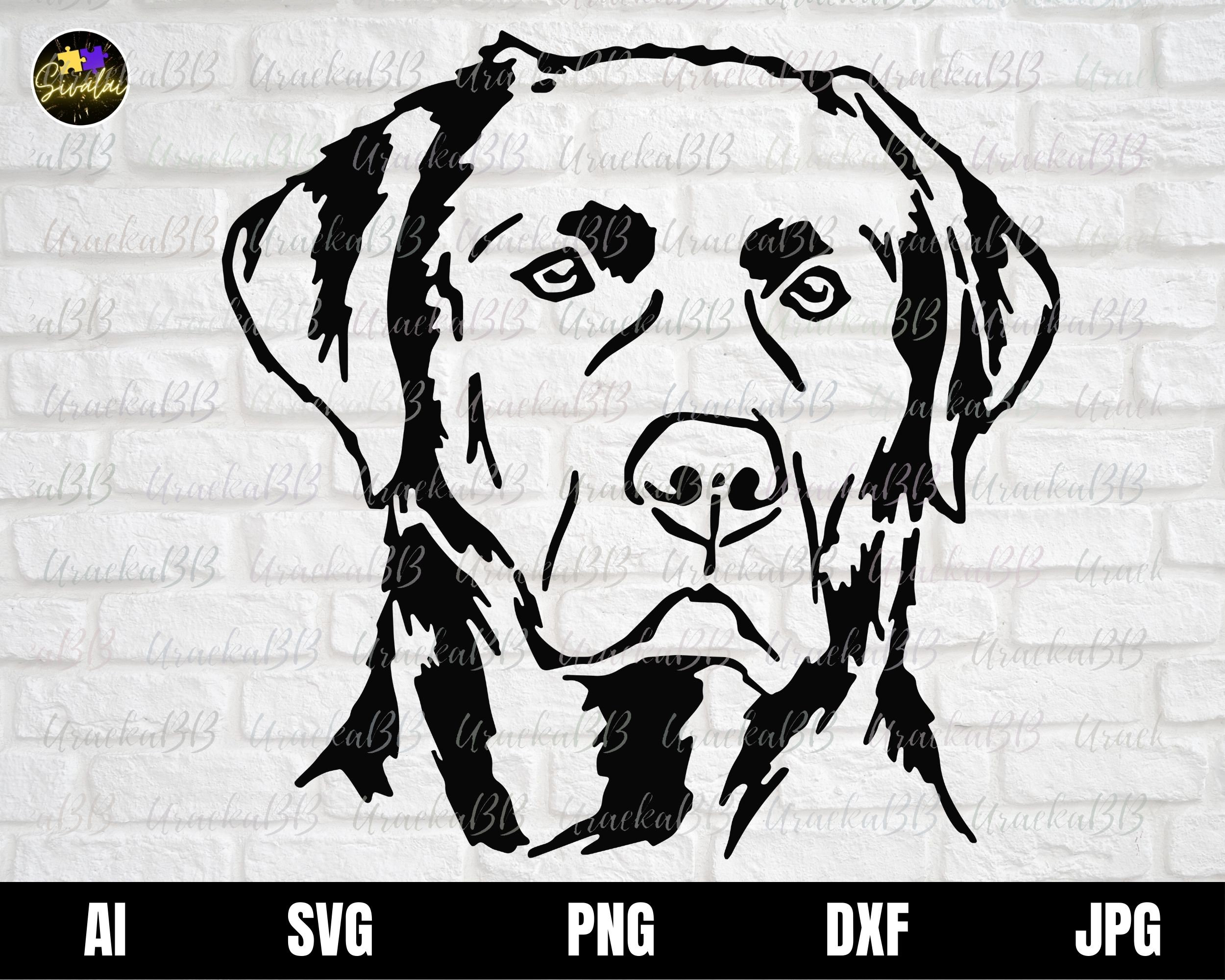 Labrador Retriever Outline