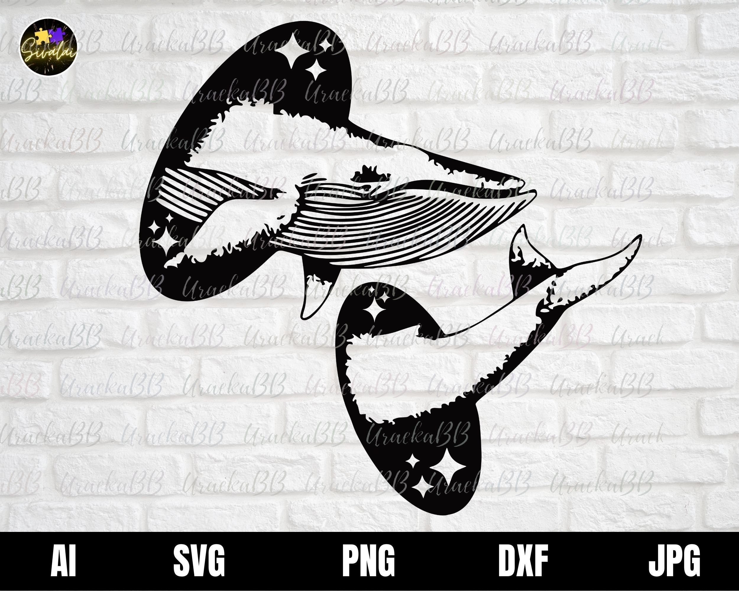 Humpback Whale SVG Whale Clipart Vg for Cricut Whale Svg - Etsy Australia