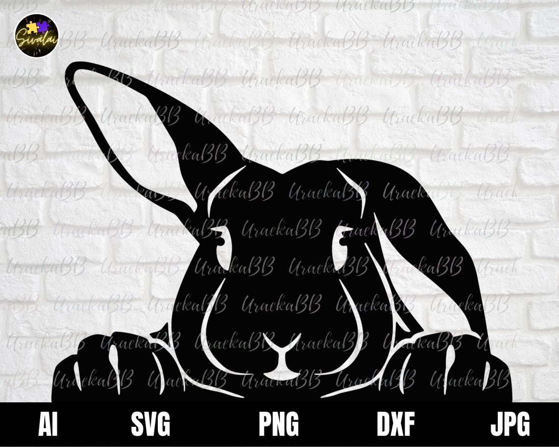 Peeking Rabbit Svg Rabbit Svg Bunny Svg Rabbit Funny Svg - Etsy UK