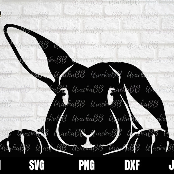 Peeking Bunny Svg - Etsy