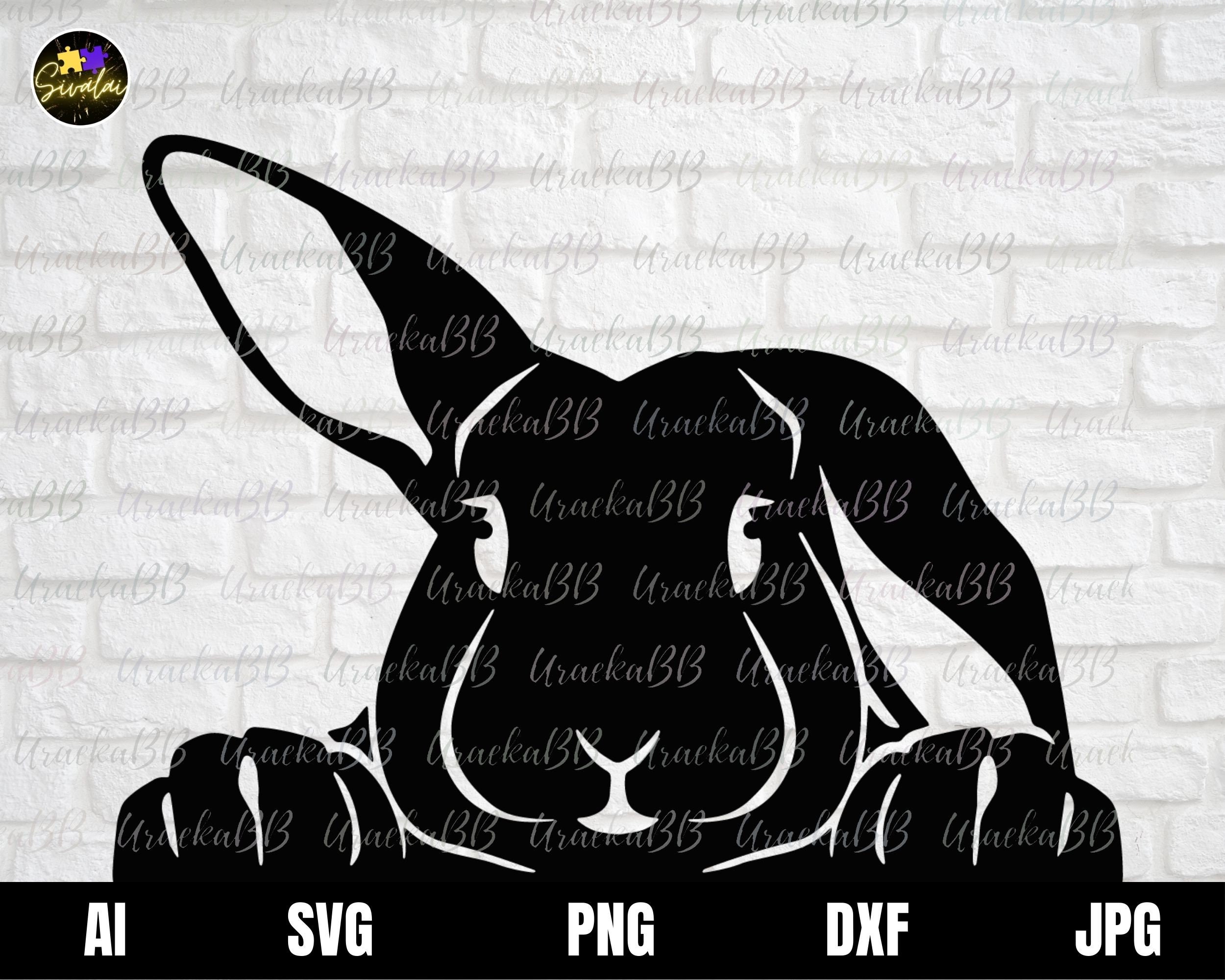 Peeking Rabbit Svg Rabbit Svg Bunny Svg Rabbit Funny Svg - Etsy UK