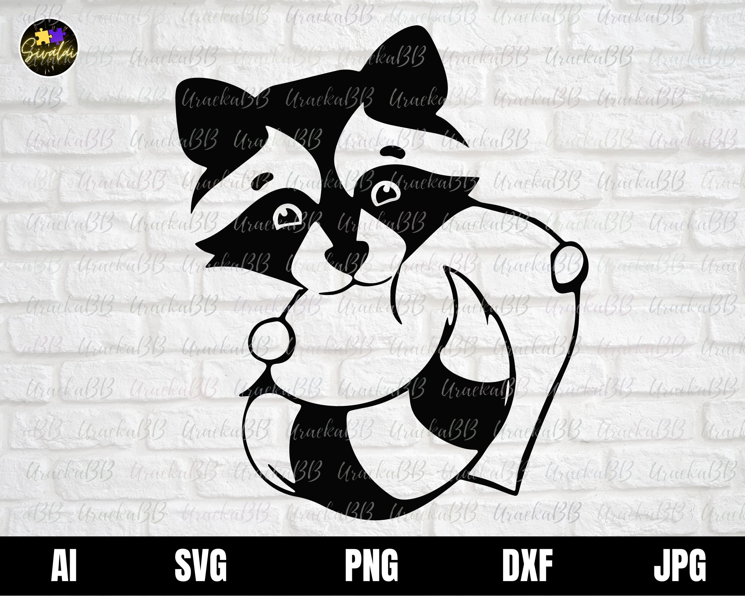 Mapache png mapache png mapache svg cabeza de mapache svg - Etsy México