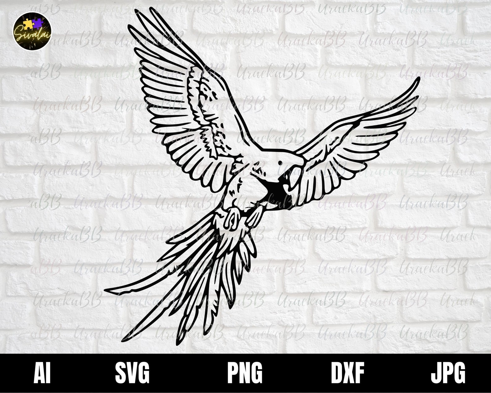 Parrot SVG Parrot vector Cricut Parrot parrot cut file | Etsy