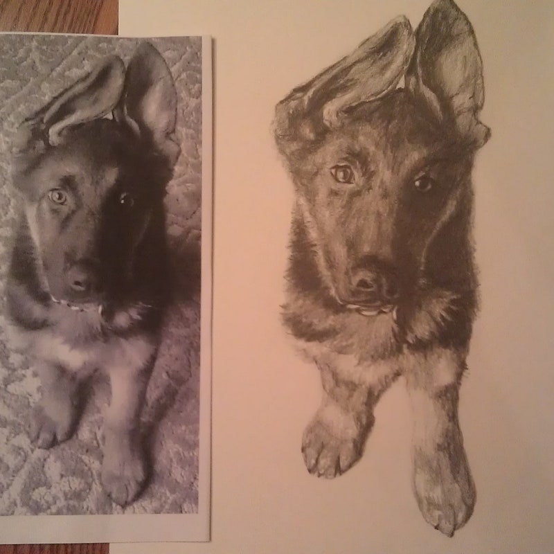 Scratchboard Dog Art - Etsy