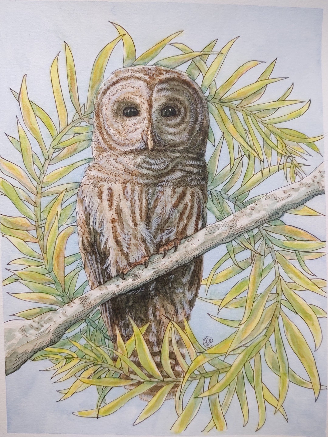 Barred Owl Mucha Print 8x11 - Etsy
