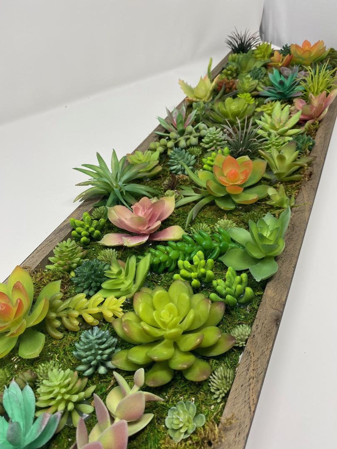 Lifelike Succulent Wall Display: Unique Wood Framed Faux Botanical Art ...