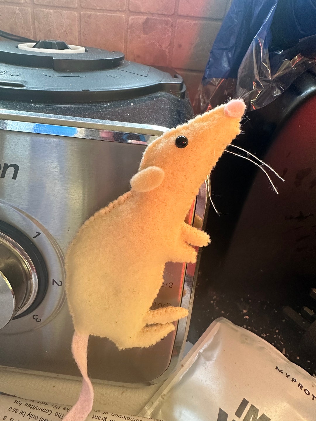 Bramble- Siamese Rat- Cream Rat- Bramble the Rat - Etsy