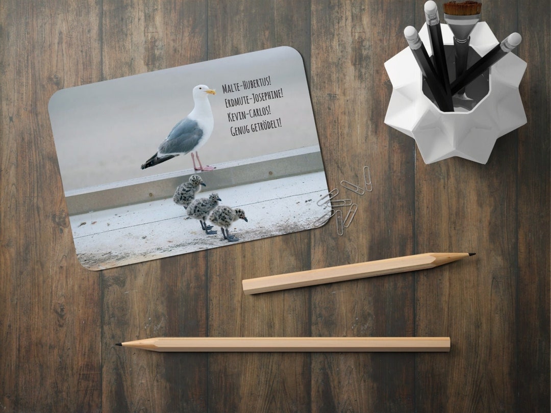 Funny Postcard Seagull Card Funny Saying Sayings Northern - Etsy