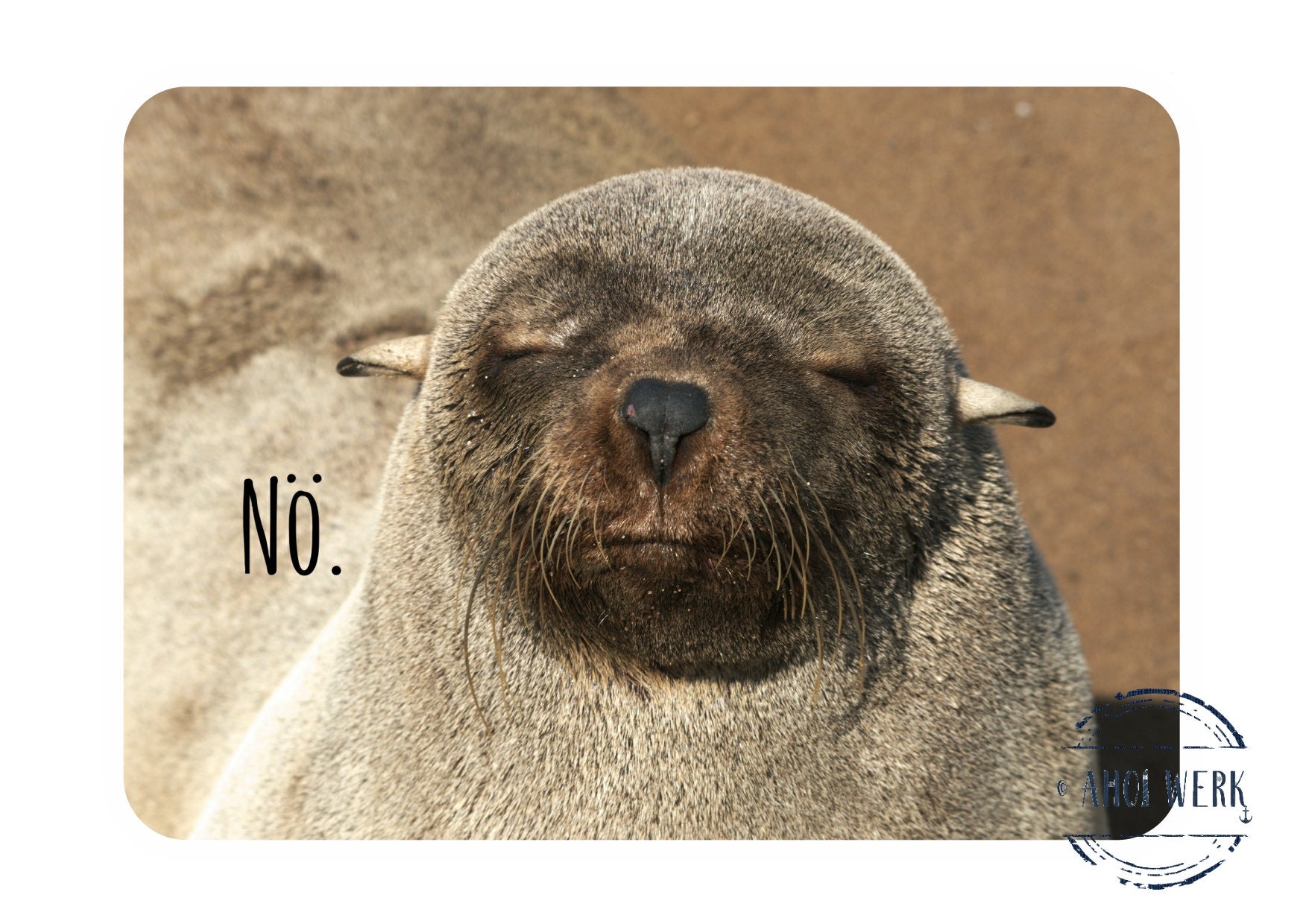 Funny postcard Nö Seal | Etsy