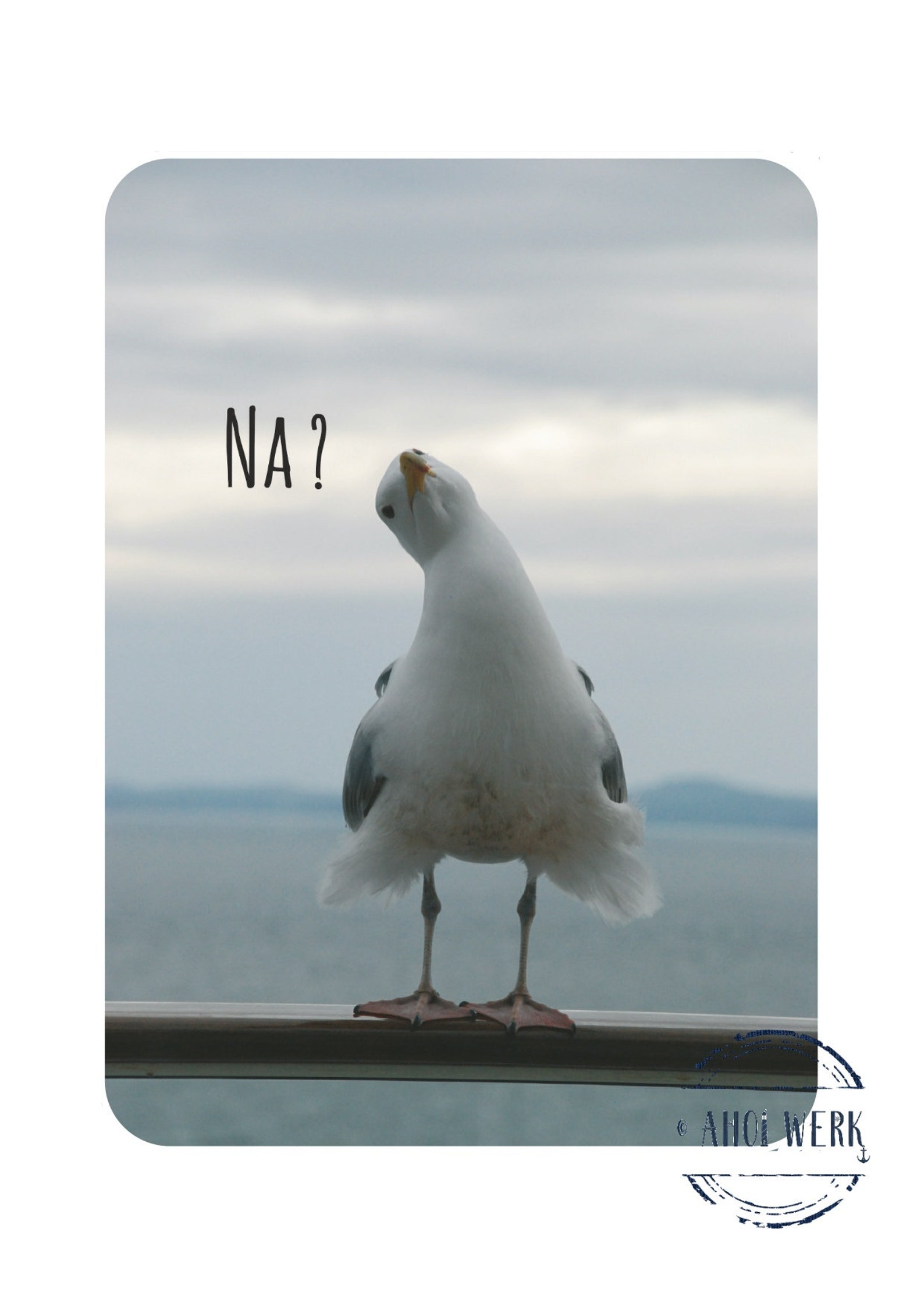 Funny Postcard Seagull Map Hello Greetings Funny Postcard - Etsy