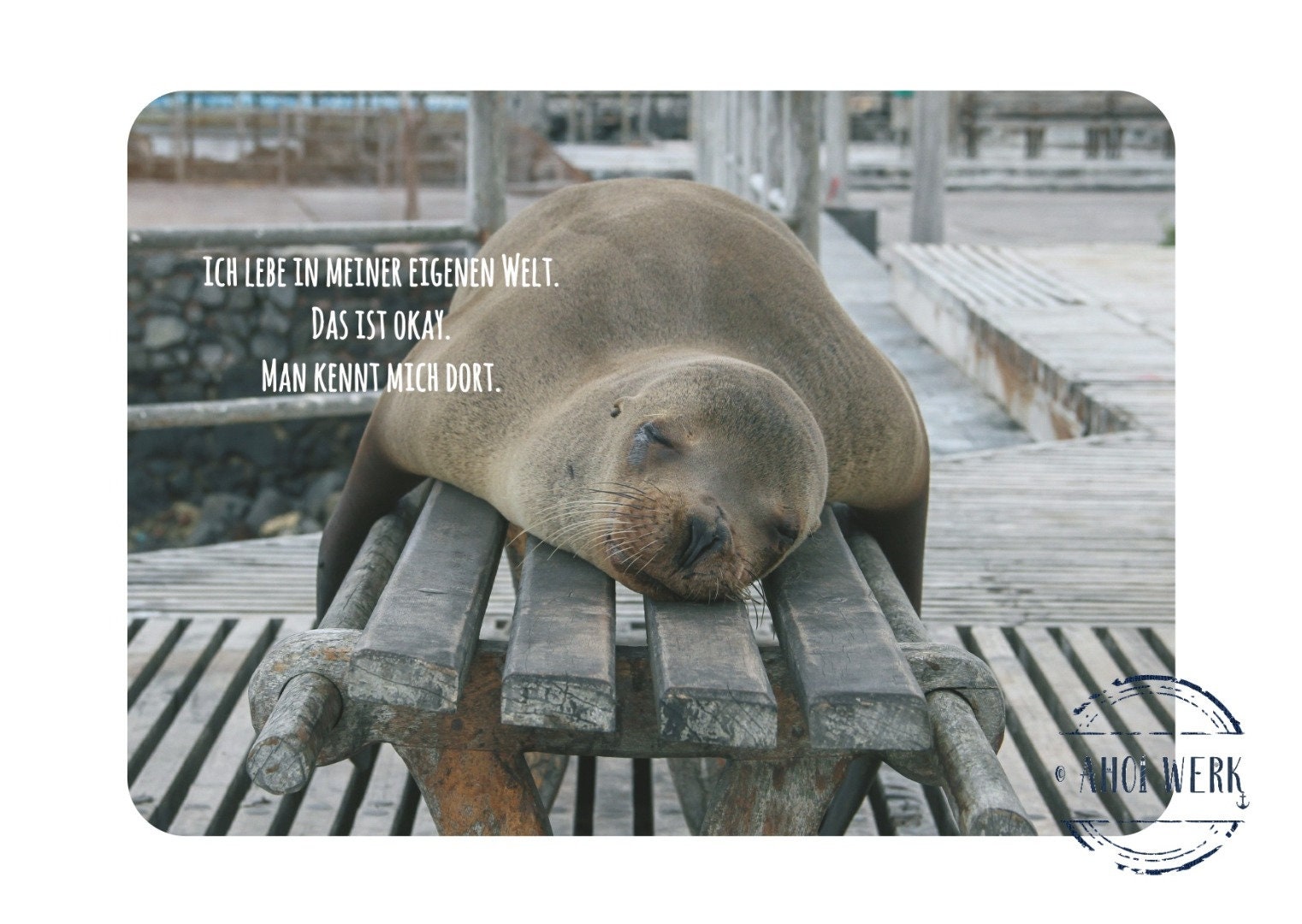 Lustige Tierpostkarte mit nerdiger Robbe Eigene | Etsy