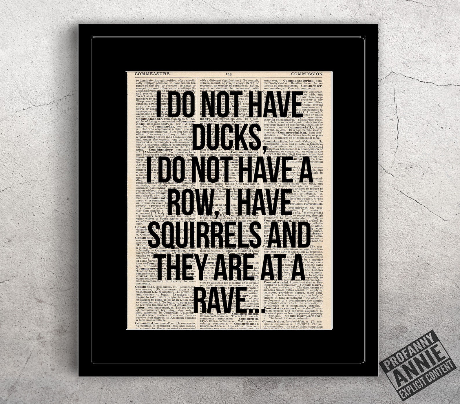 I Do Not Have Ducks I Do Not Have a Row I Have Squirrels and | Etsy