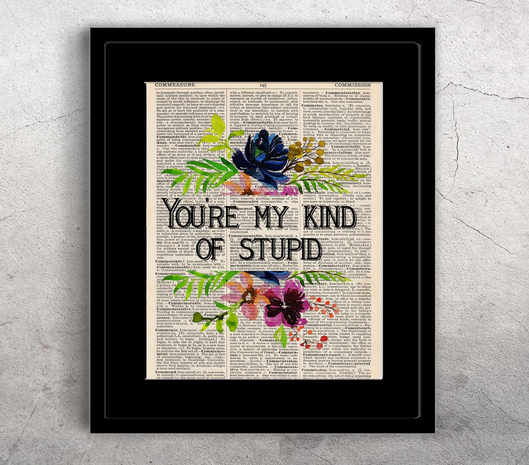 You're My Kind of Stupid Dictionary Print Funny Sarcastic - Etsy
