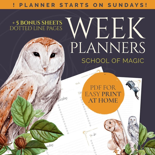 Owl Planner - Etsy