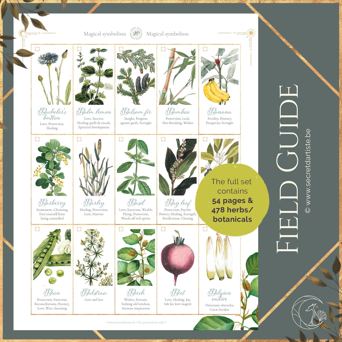 Botanical Field Guide Printable PDF and Workbook With - Etsy