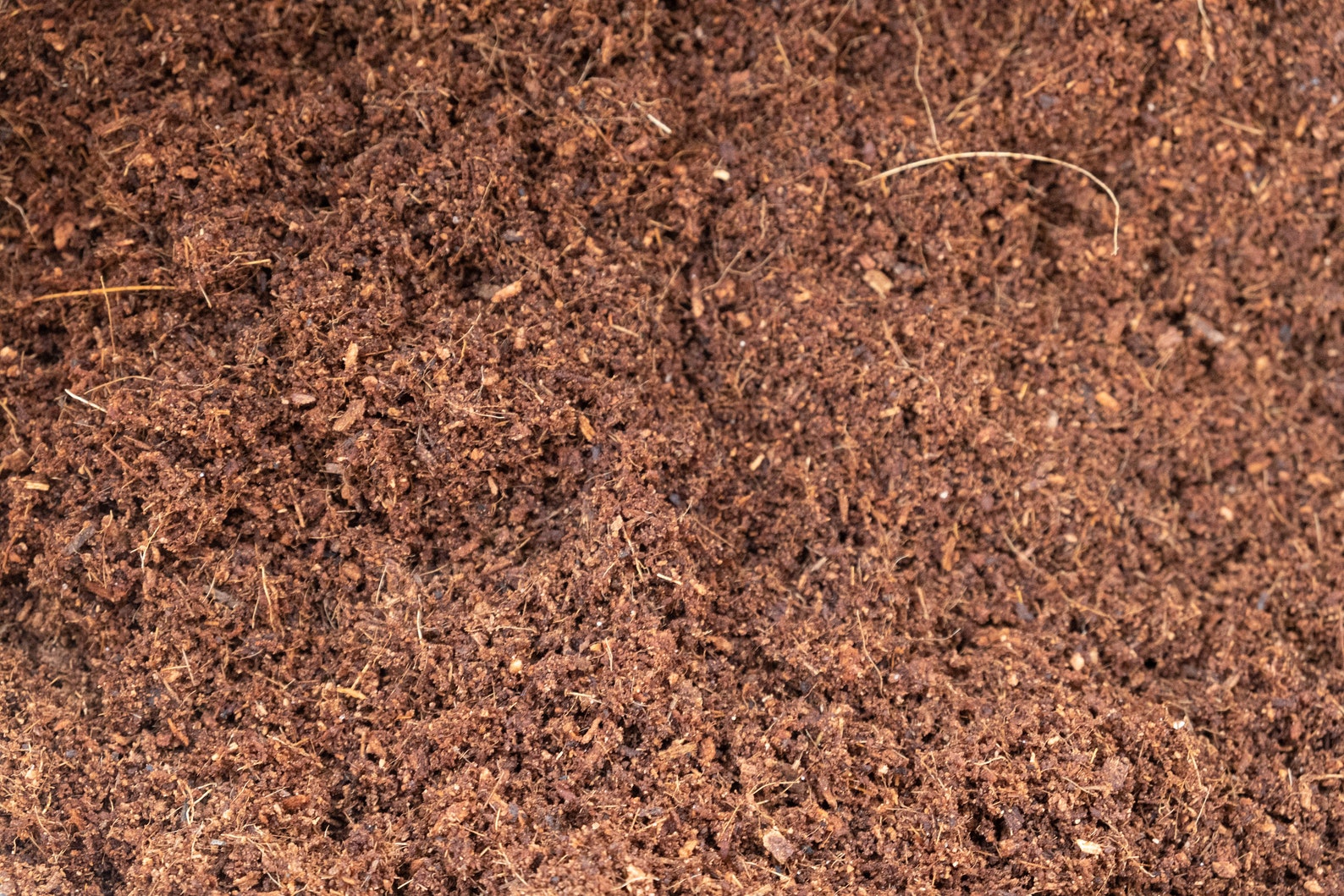 Natural Coco Coir: Peat-free Compost for Indoor & Outdoor Plants - Etsy UK