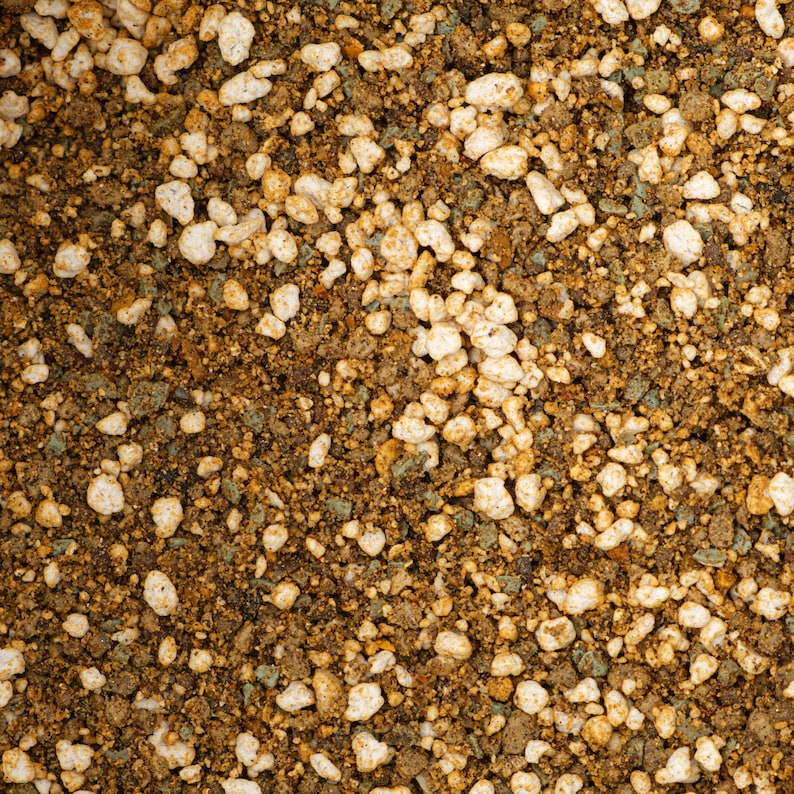 Lithops Potting Mix- Hand Mixed Blend for Conophytums & Lithops Mesembs ...