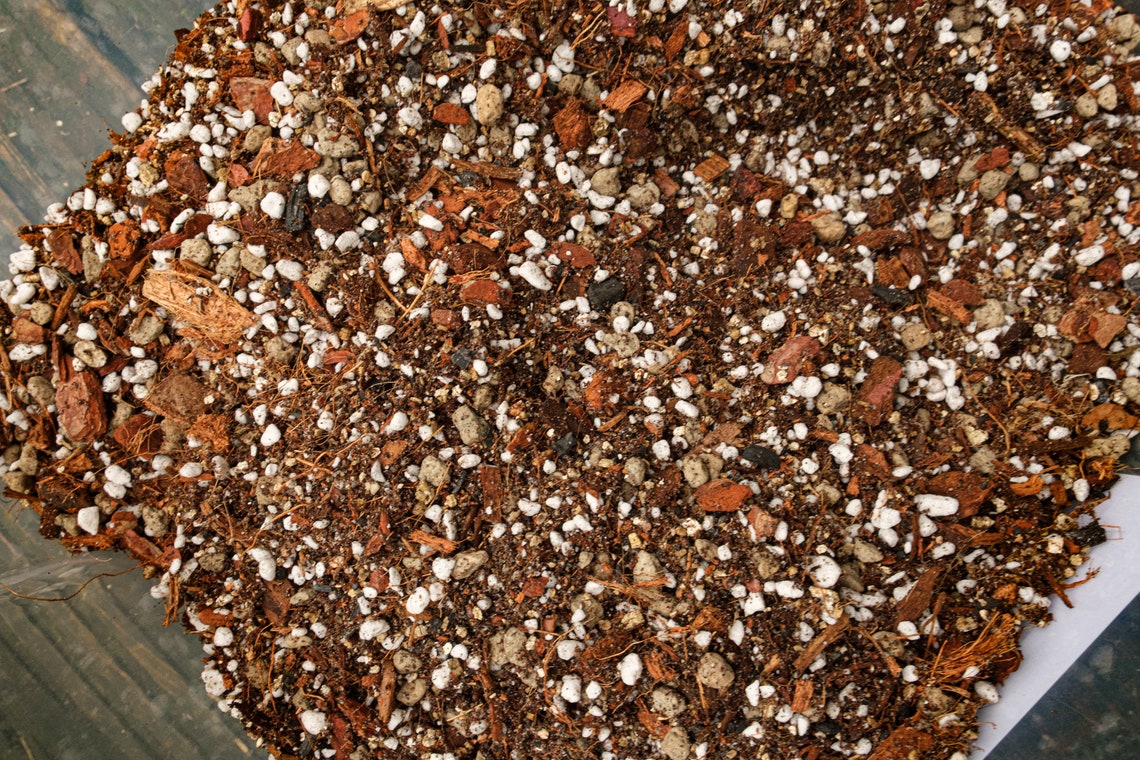 Aroid Potting Soil Mix: Monstera, Philodendron, Alocasia - Peat Free ...