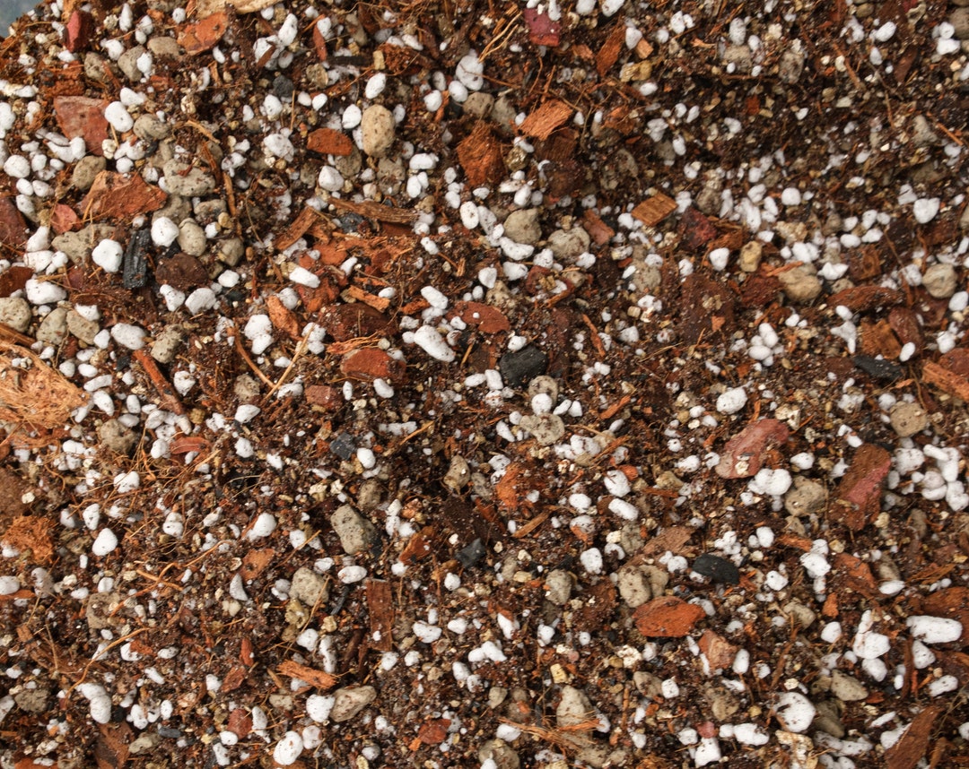 Aroid Potting Soil Mix: Monstera, Philodendron, Alocasia - Peat Free ...