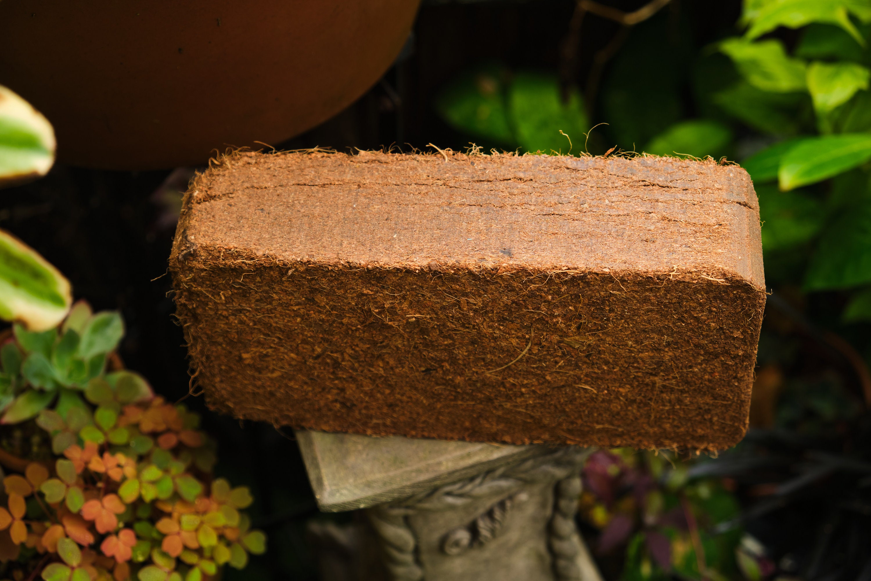 Coco Coir 1-3 Blocks X 650g Each Block Makes 9 Litres of - Etsy UK