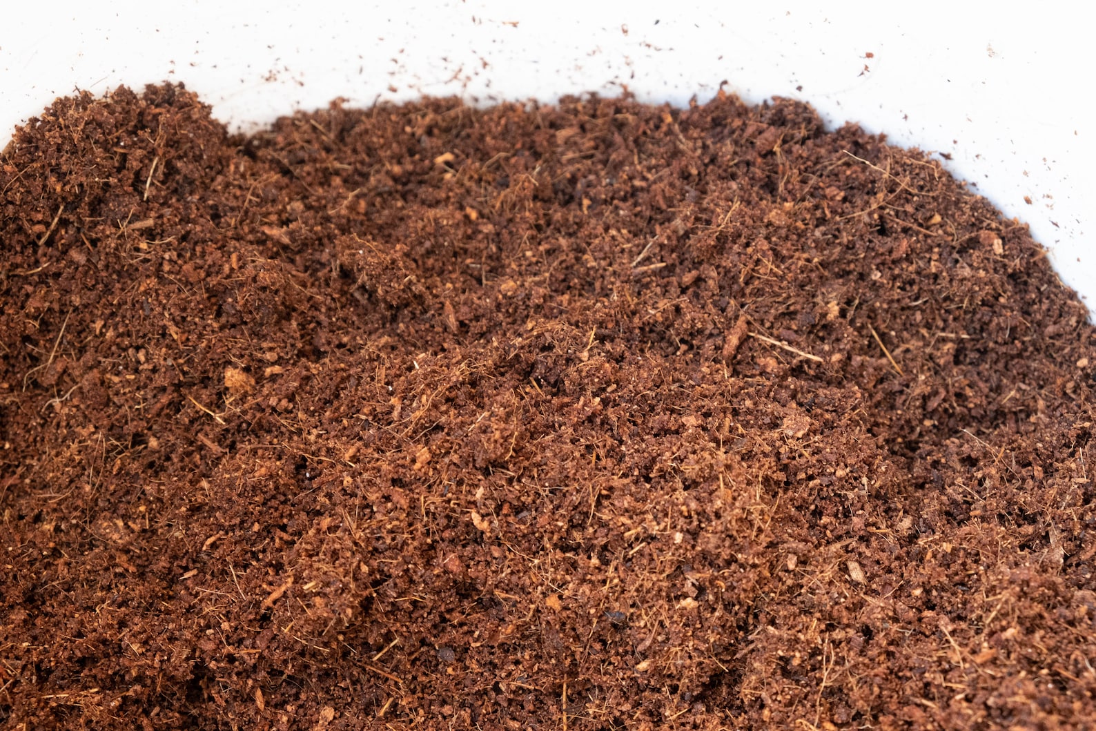 Natural Coco Coir: Peat-free Compost for Indoor & Outdoor Plants - Etsy UK