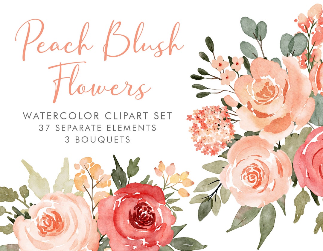 Peach Blush Flowers Watercolor Roses Clipart Weddding Bouquets - Etsy ...