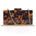 Acrylic Tortoise Shell Bag, Tortoise Purse Clutch, Leopard Bag, Cheetah ...